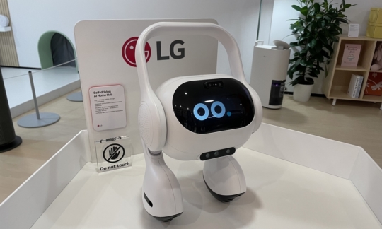 삼성-LG, 'IFA 2024'서 AI 반려로봇 대결…상용화 시기에 관심